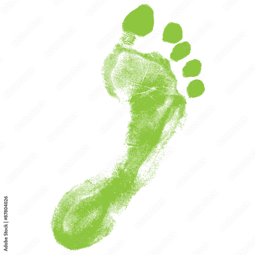 footprint - isolated on white background Stock Vector | Adobe Stock