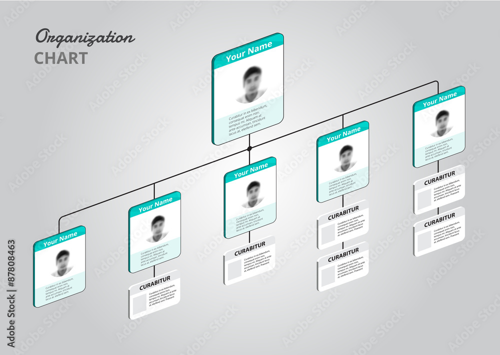 Organization chart infographics with tree, Diagram flow. vector Stock ...