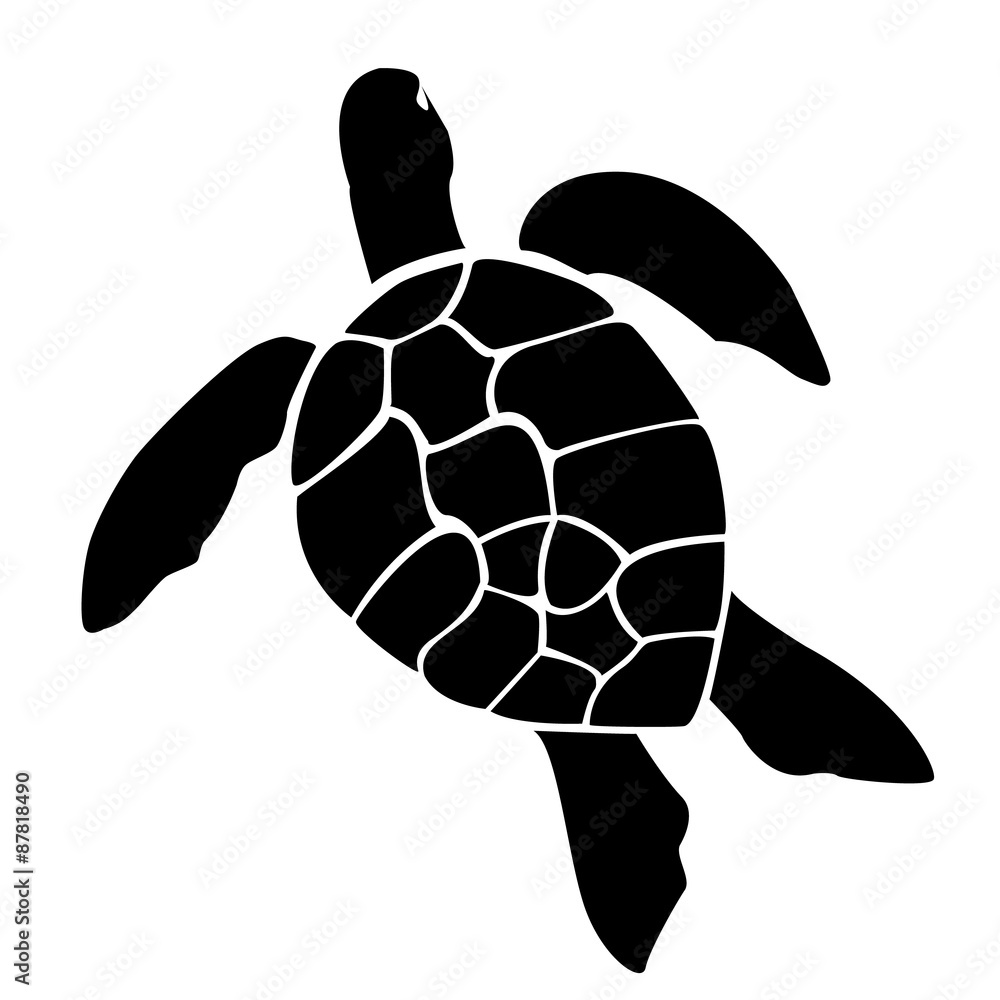 Sea turtle vector image, graphics. Stock Vector | Adobe Stock
