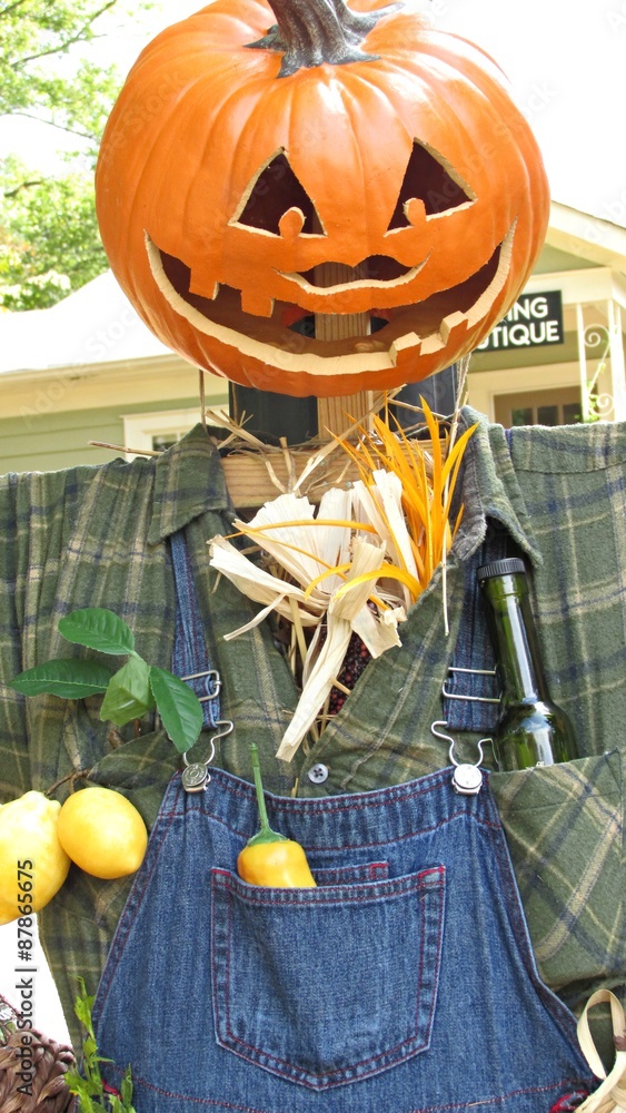 Scarecrow in Overalls Stock Photo | Adobe Stock