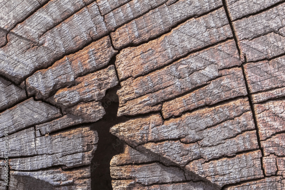 Top Cross Section surface of an old, weathered, rotten, Square Timber Bollard, made of obsolete ...