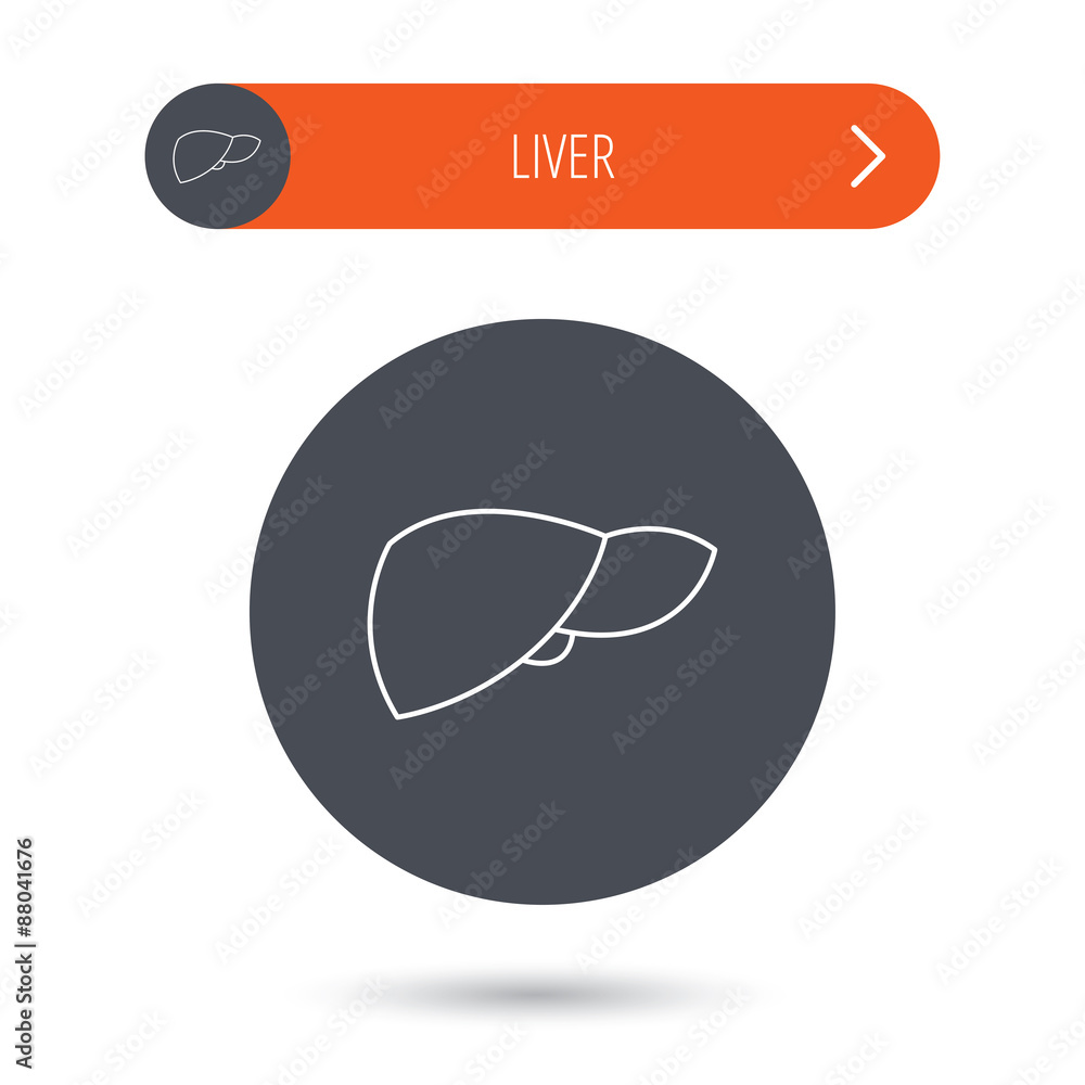 Liver icon. Transplantation organ sign. Stock Vector | Adobe Stock