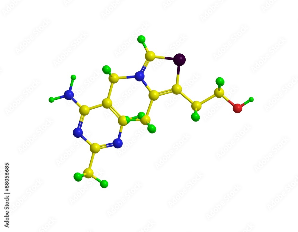 Molecular structure of vitamin B1 (thiamine) Stock Illustration | Adobe ...
