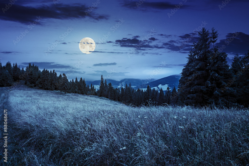 Hillside At Night
