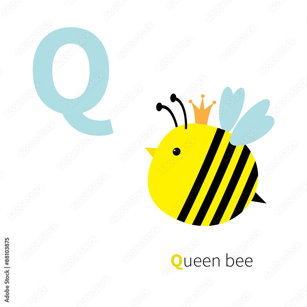 Letter Q Queen bee Zoo alphabet. English abc with animals Education ...