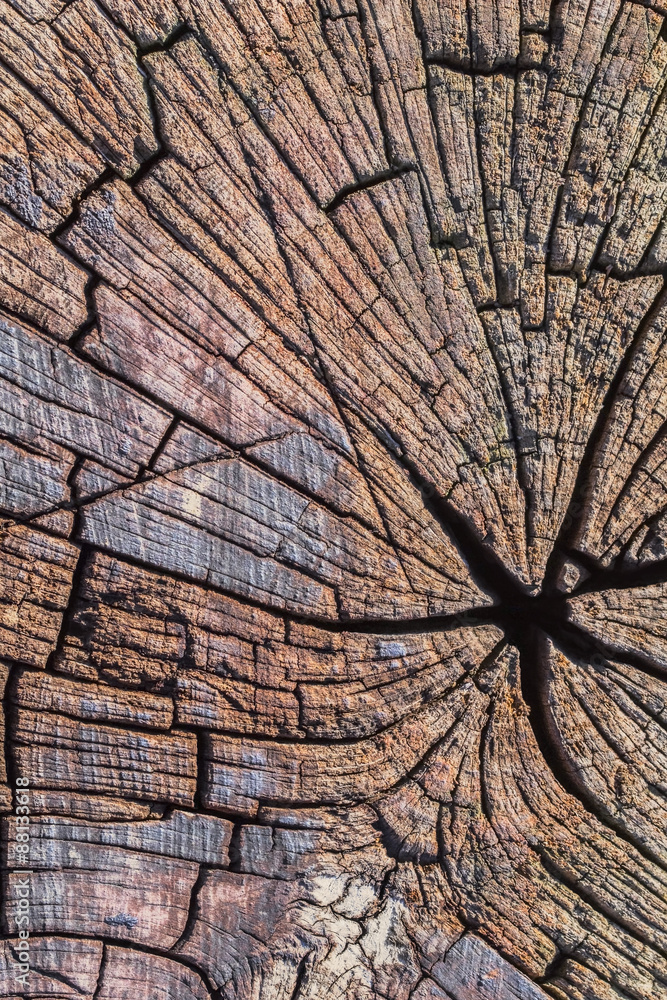 Top surface of an old, bituminous, weathered, rotten, Square Timber ...