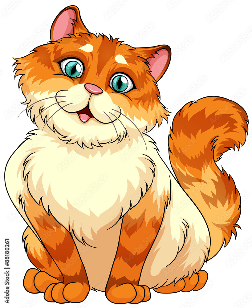 Kitten Stock Vector Adobe Stock