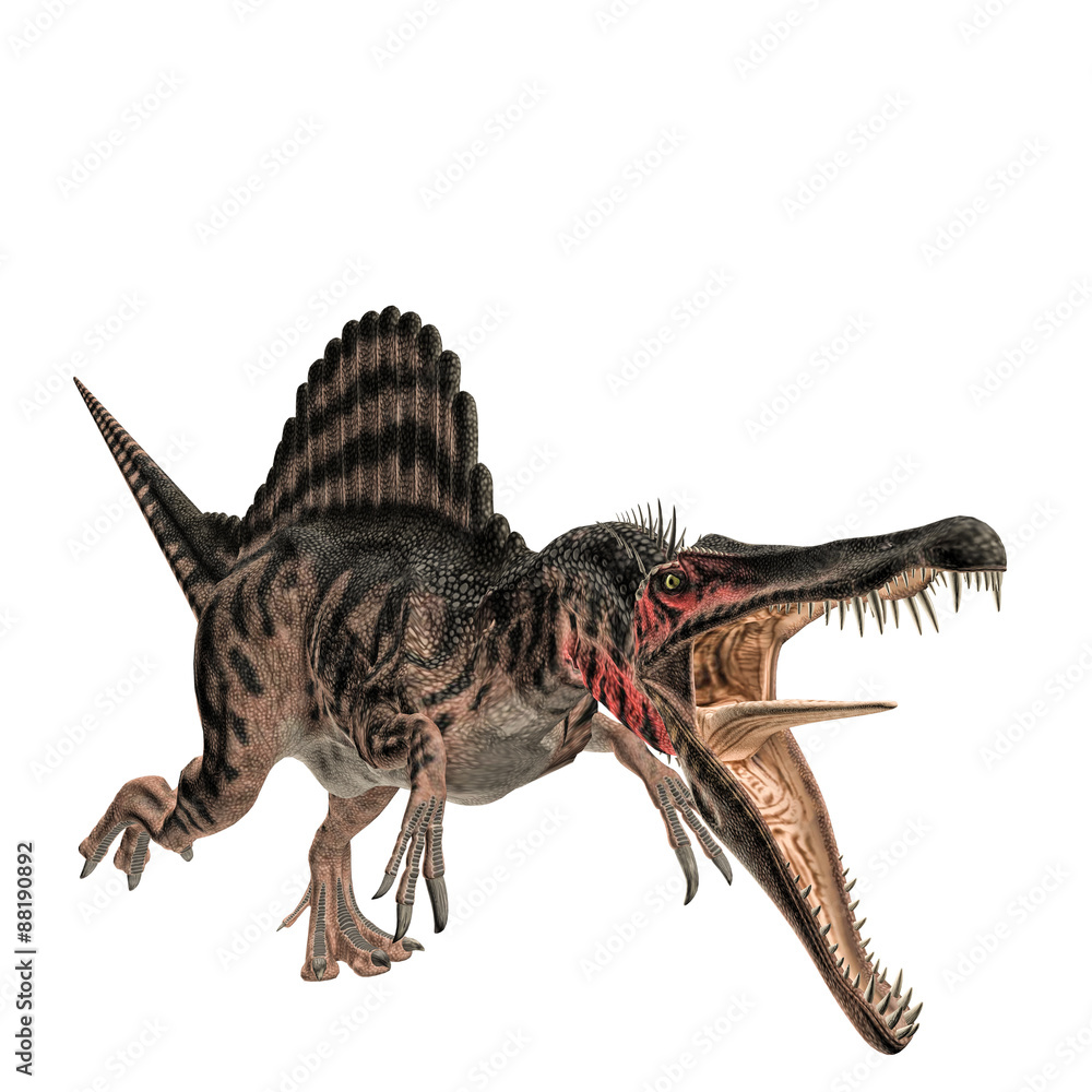 Spinosaurus Stock Illustration | Adobe Stock