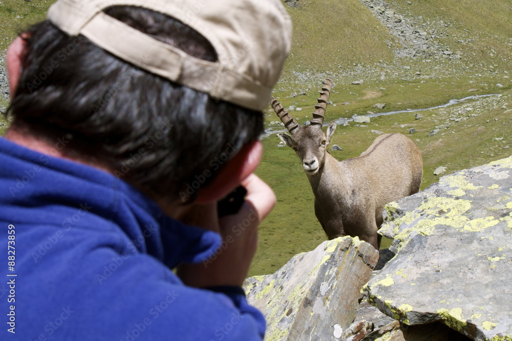 Fotografo naturalista foto de Stock | Adobe Stock