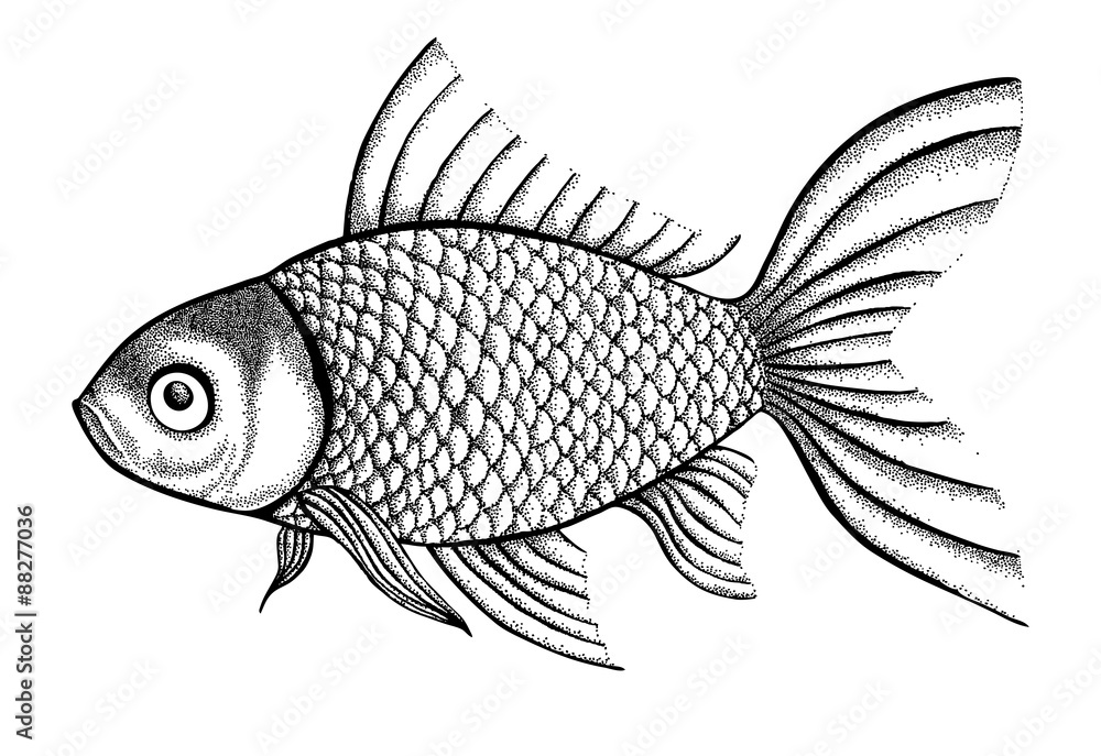 figure fish painted in a graphic style points and lines. A great figure ...