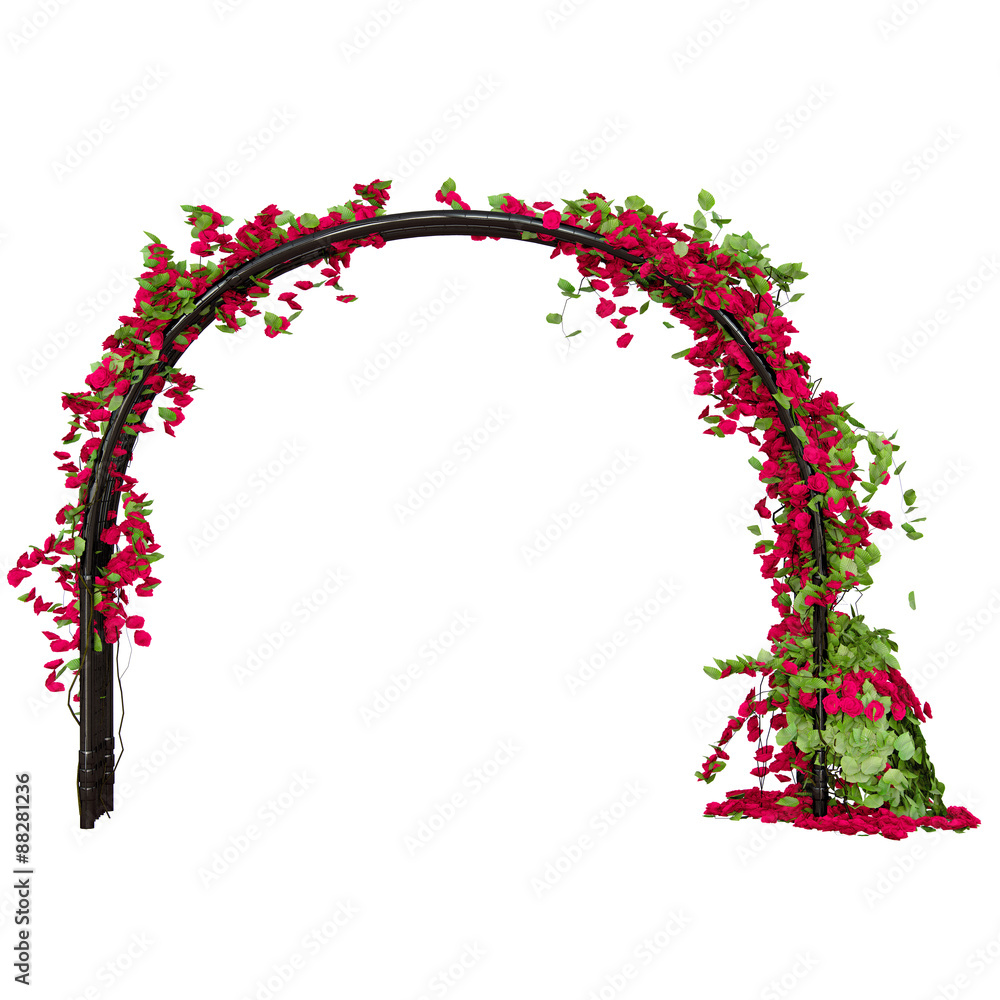 Metal pergola shaped as arc front view Stock Illustration | Adobe Stock