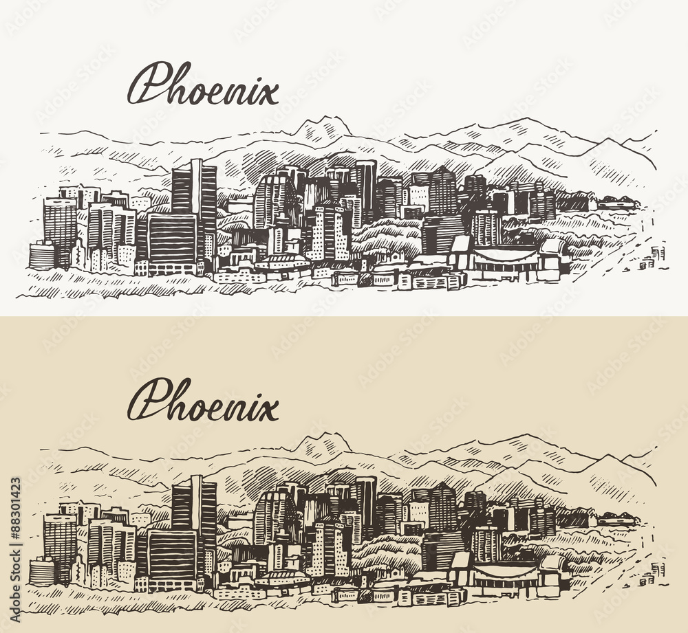 Phoenix Skyline Vector