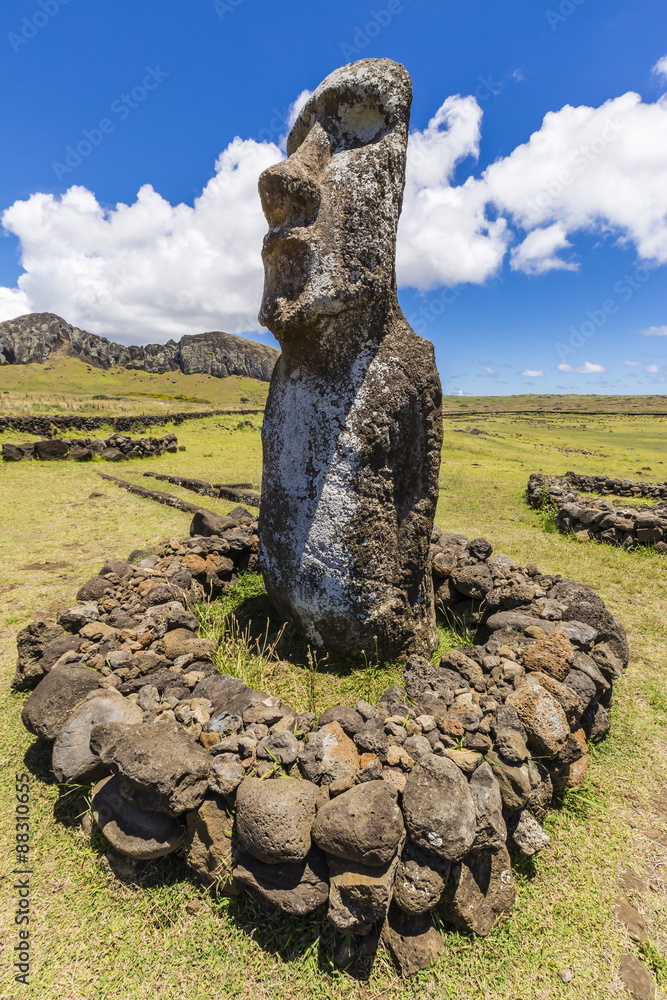 Single moai statue guards the entrance at the 15 moai restored ...