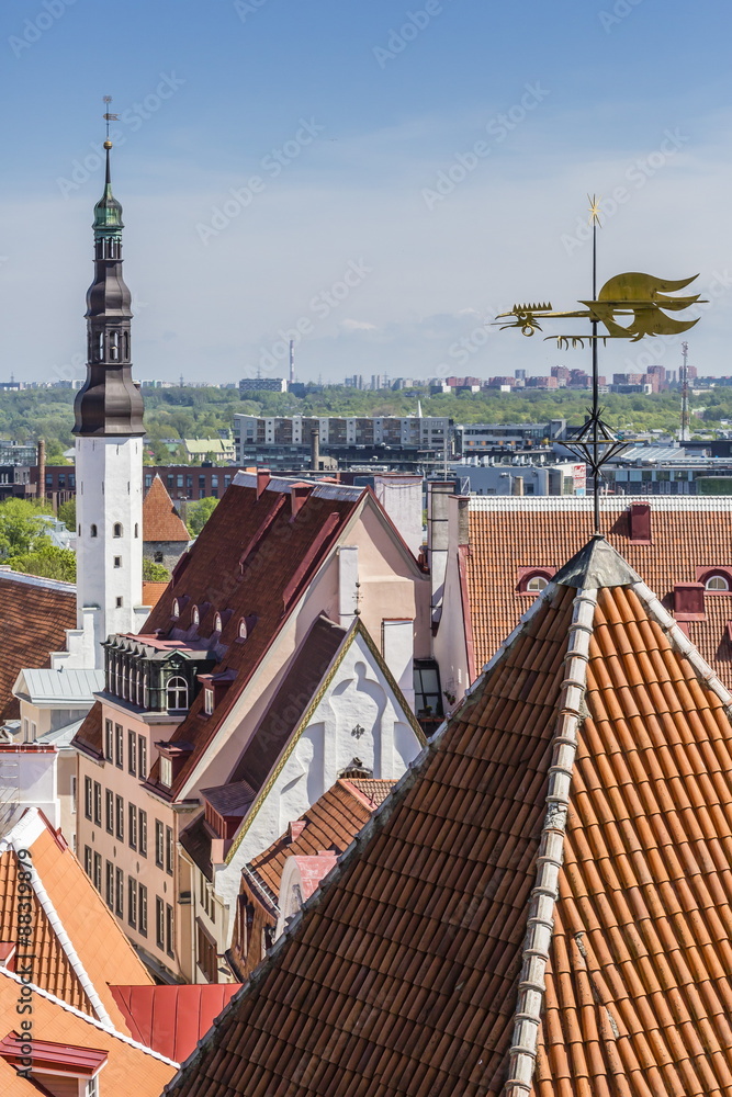 Estonia Capital City