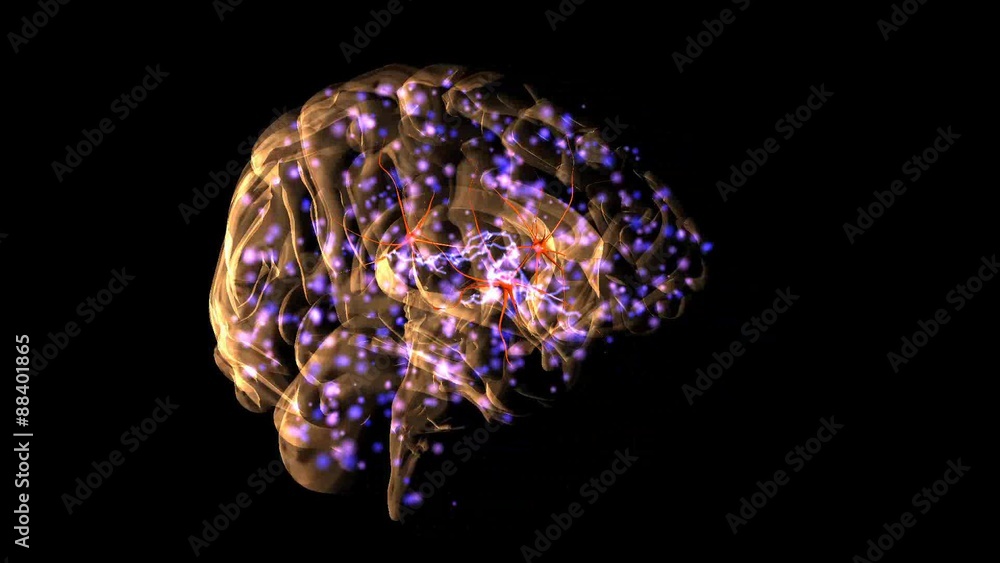 brain nerve cells with electrical pulses vídeo de Stock | Adobe Stock