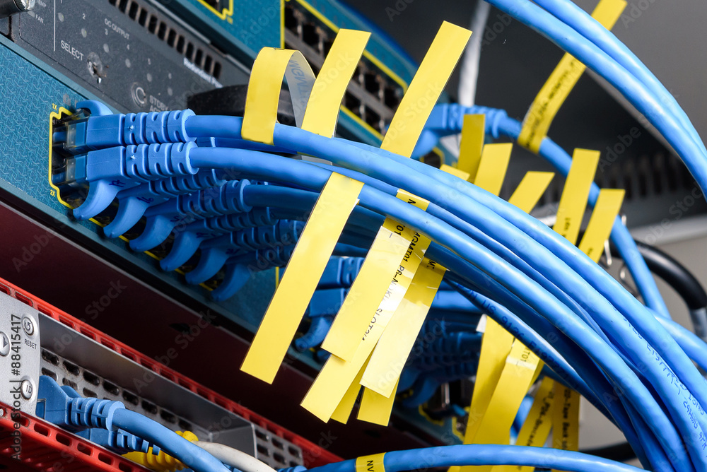 Blue UPT Cat5 e connecting on network core switch Stock Photo | Adobe Stock