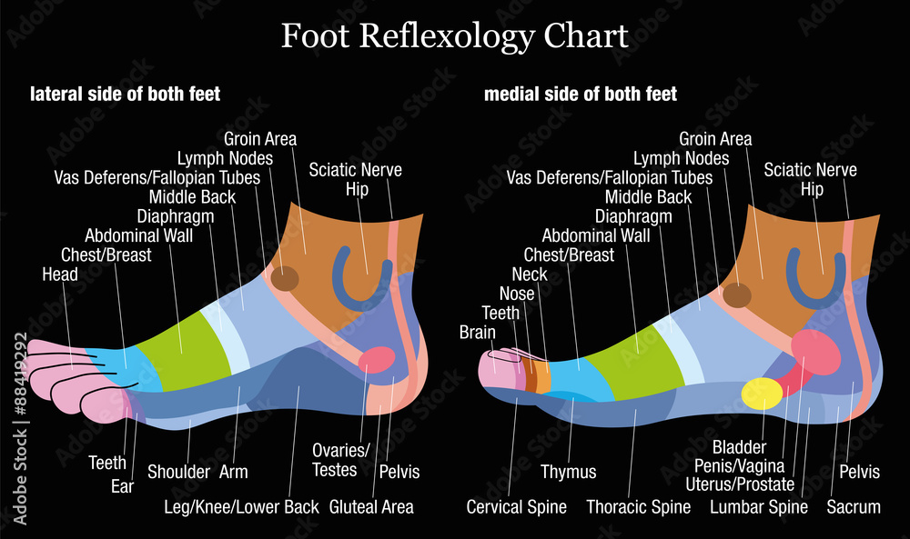 Foot reflexology chart - inside and outside view of the feet - with ...