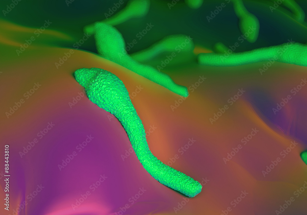 Clostridium tetani bacterium Stock Illustration | Adobe Stock