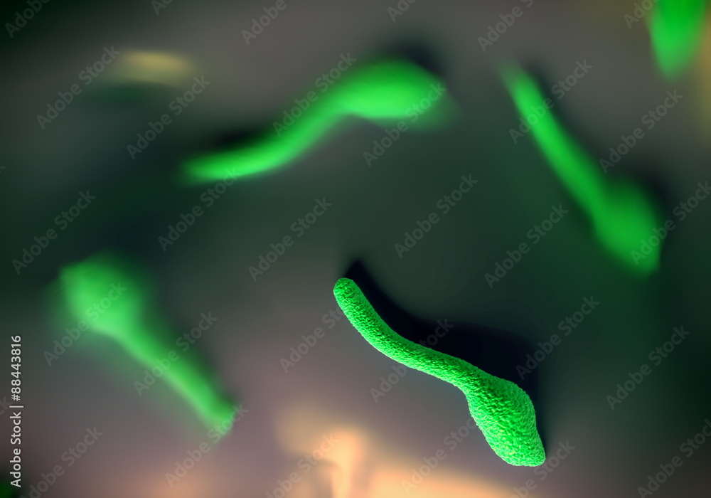 Clostridium tetani bacterium Stock Illustration | Adobe Stock