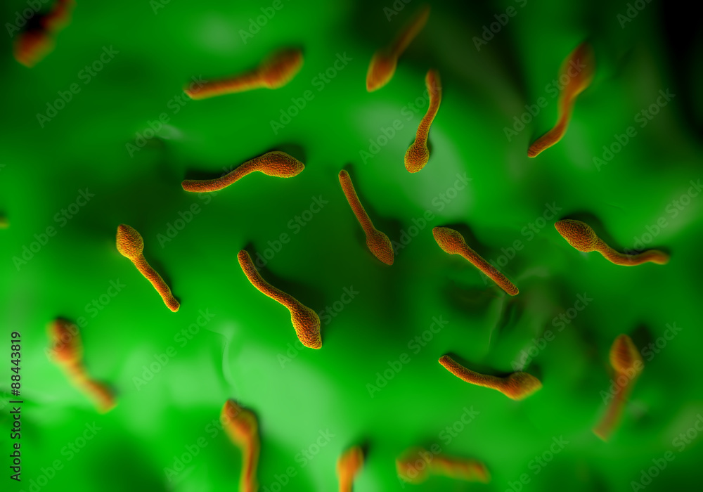 Clostridium tetani bacterium Stock Illustration | Adobe Stock
