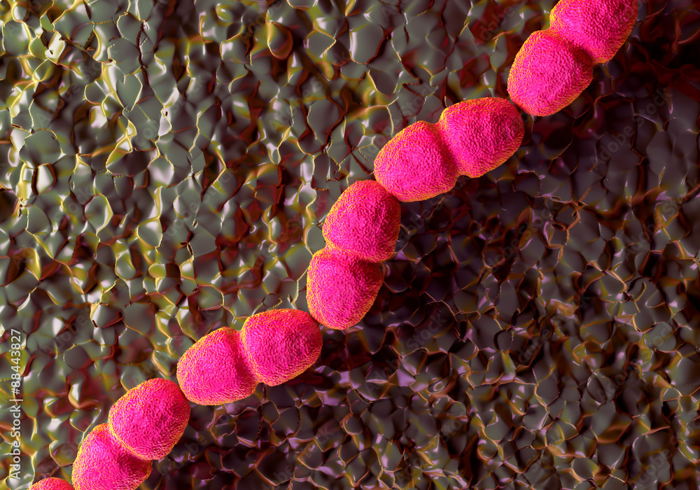 Enterococcus faecalis bacteria or Streptococcus faecalis bacteria Stock ...