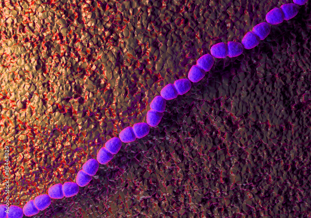 Enterococcus faecalis bacteria or Streptococcus faecalis bacteria Stock ...
