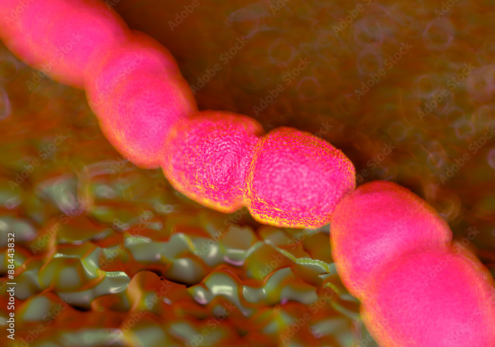 Enterococcus faecalis bacteria or Streptococcus faecalis bacteria Stock ...