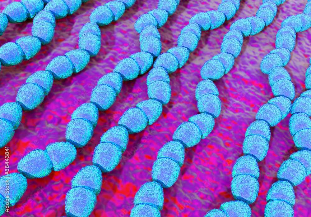 Enterococcus faecalis bacteria or Streptococcus faecalis bacteria Stock ...