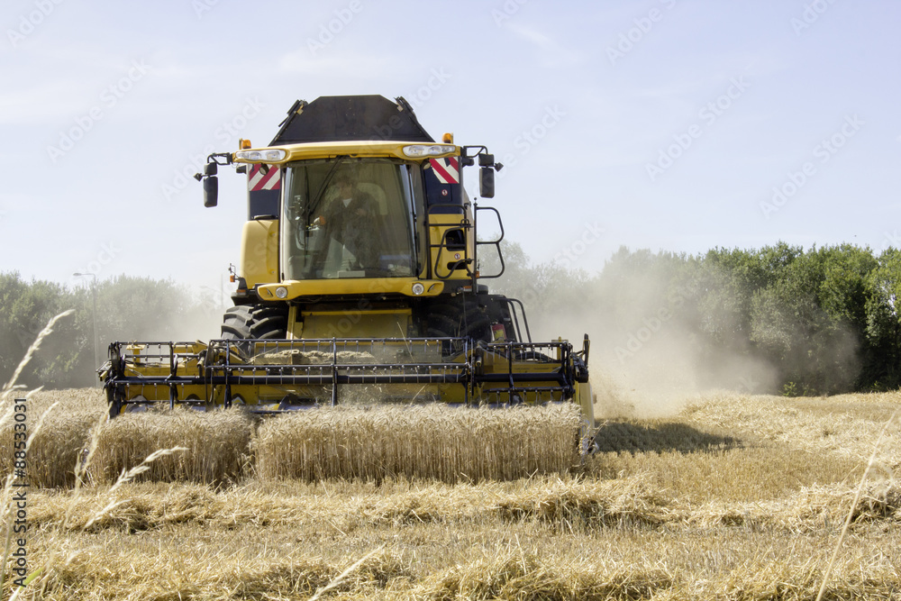 Moisson 05 Stock Photo | Adobe Stock