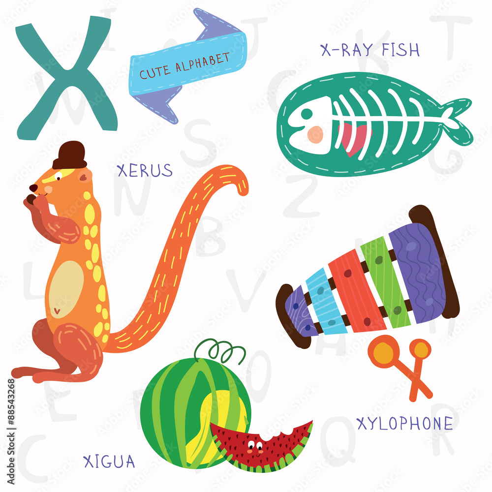 Objects That Start With The Letter X objects-that-start-with-the-letter-x