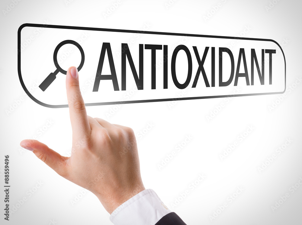 Poster Antioxidant written in search bar on virtual screen – Muurposter ...