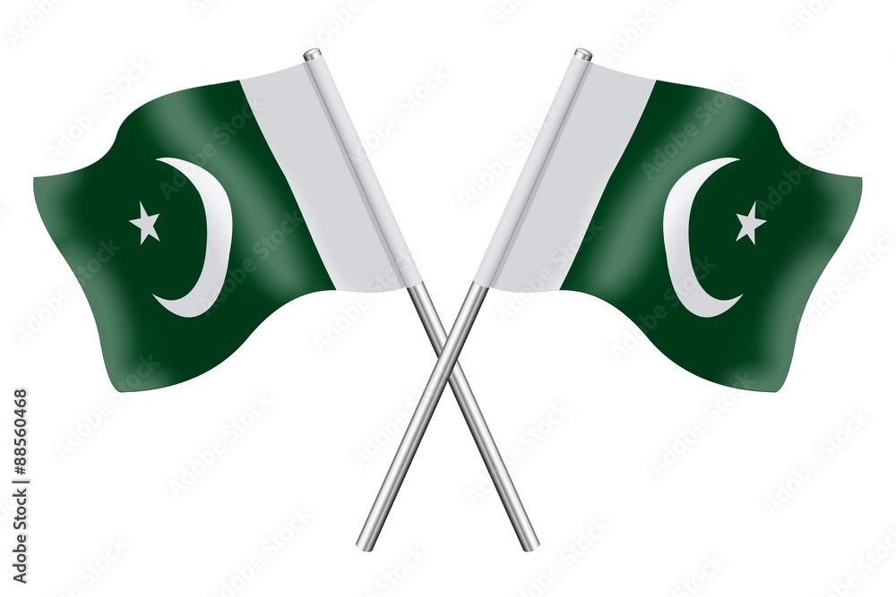 Flags: Flags of Pakistan Stock Illustration | Adobe Stock