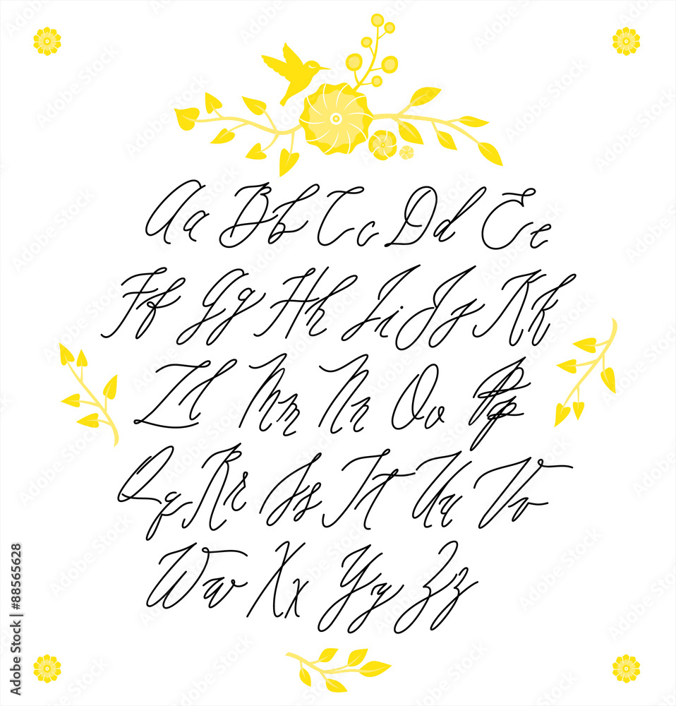 Vector set with hand written ABC letters. Calligraphy collection font ...