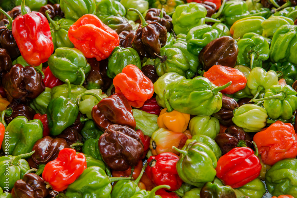 Etal de piments au marché de Fort de France à la Martinique Stock Photo ...
