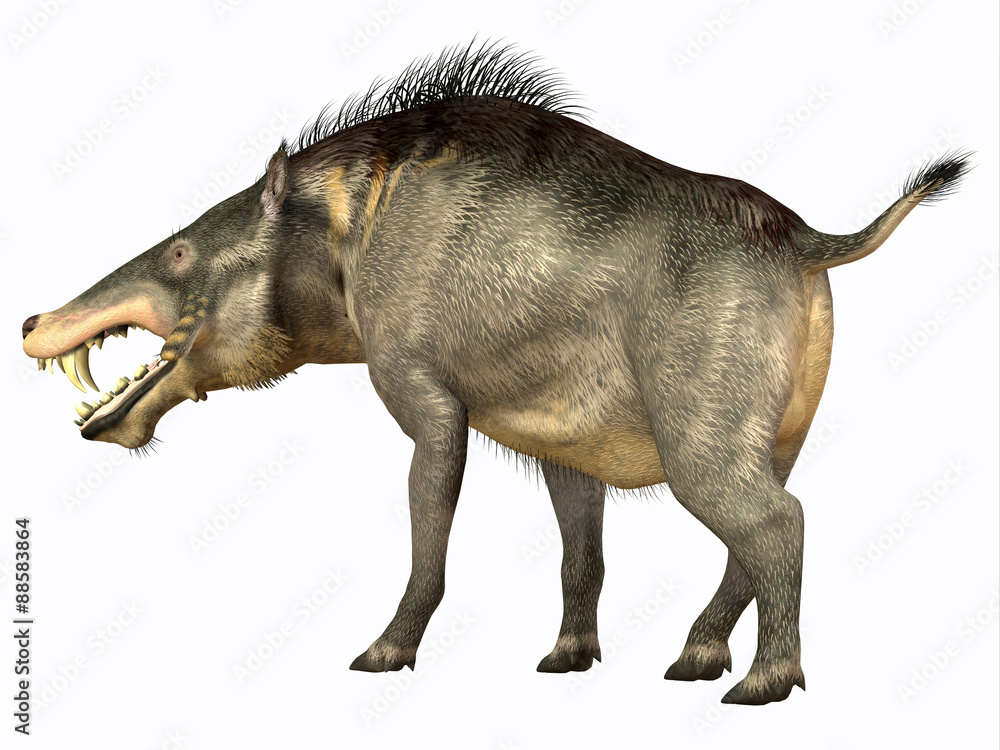 Entelodon Omnivore - Entelodon was an omnivorous pig that lived in ...