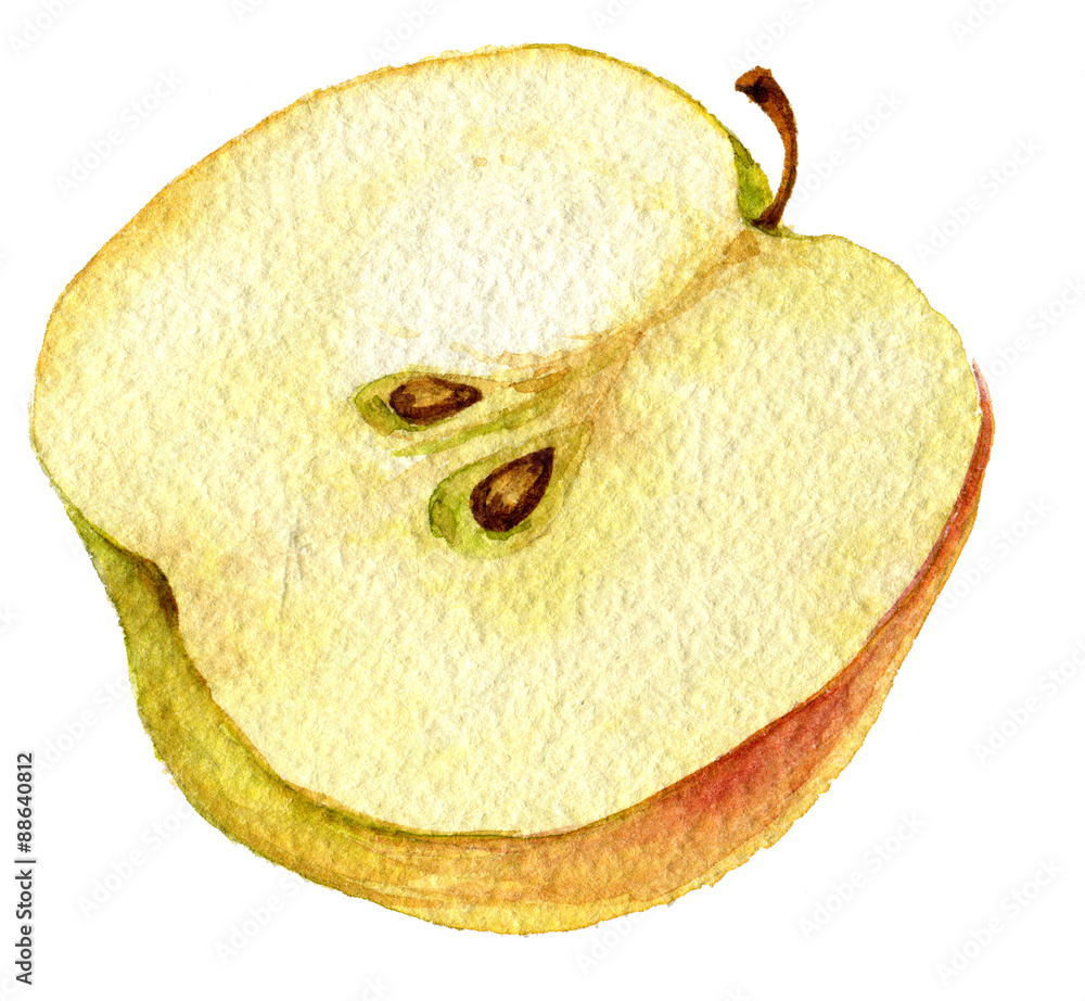 Half apple drawing by watercolor Stock Illustration | Adobe Stock