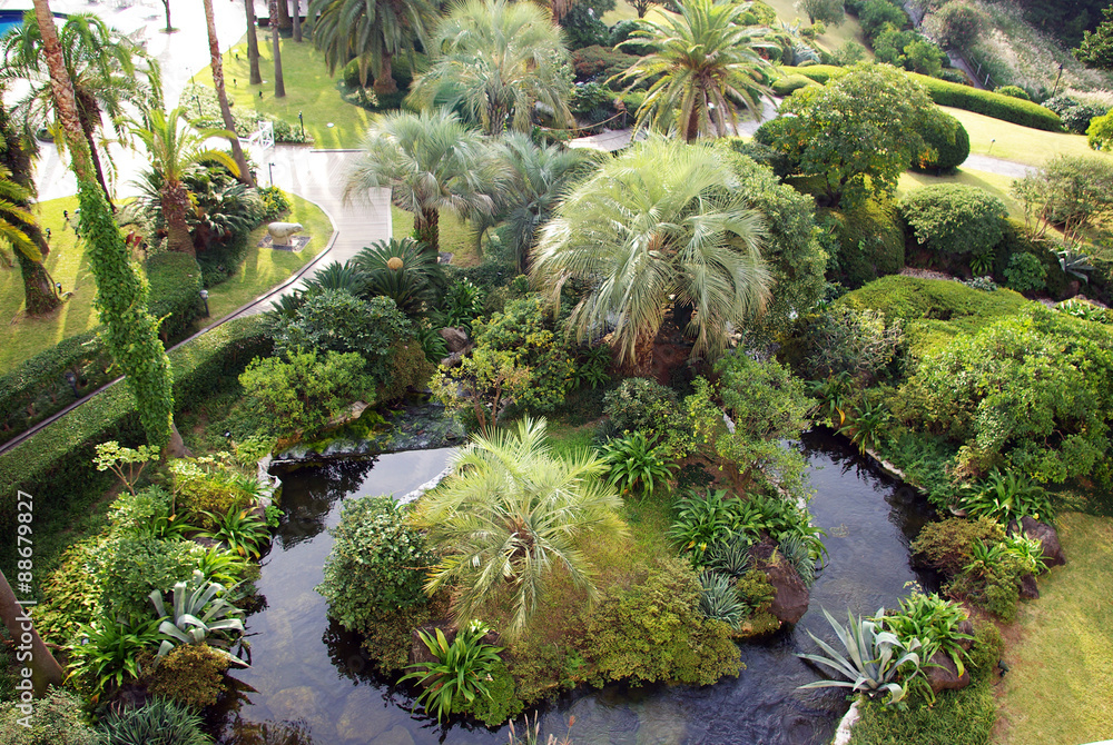 The island in the Pacific Ocean. A volcanic island in the Pacific, all ...