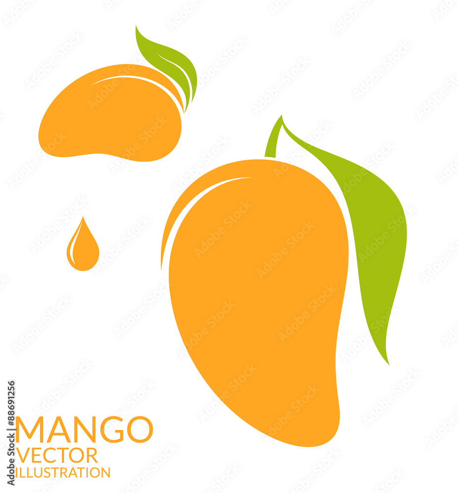 Mango Stock Vector | Adobe Stock