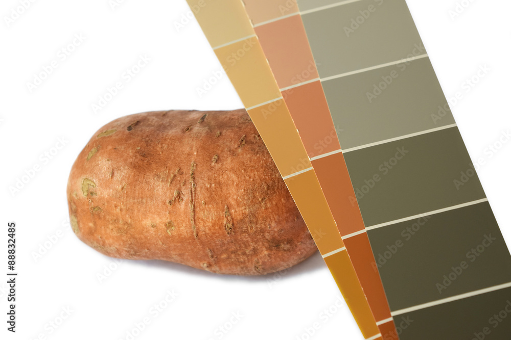 This photo shows a sweet potato with sample paint chips to choose ...