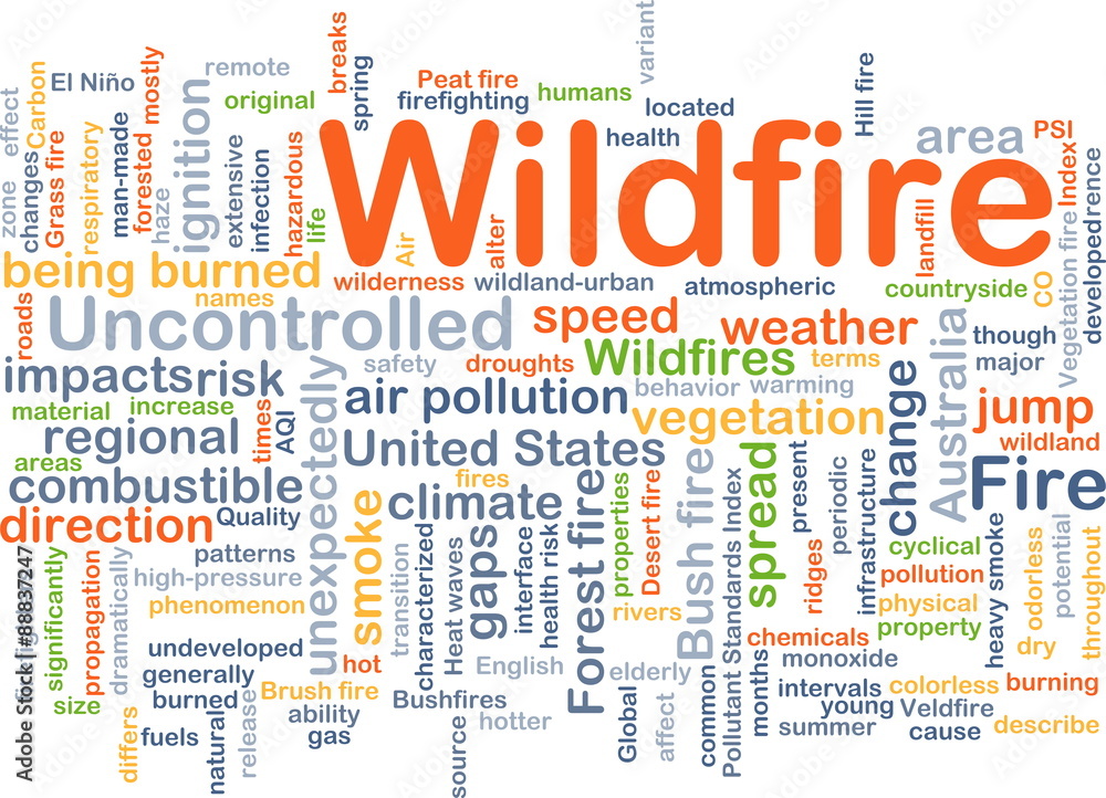 Wildfire background concept Stock Illustration | Adobe Stock