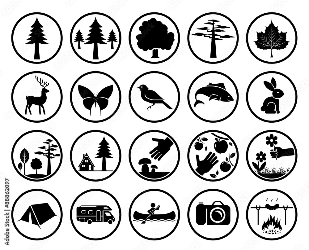 Set of nature signs. Collection of forest and parks signs. Camping in ...
