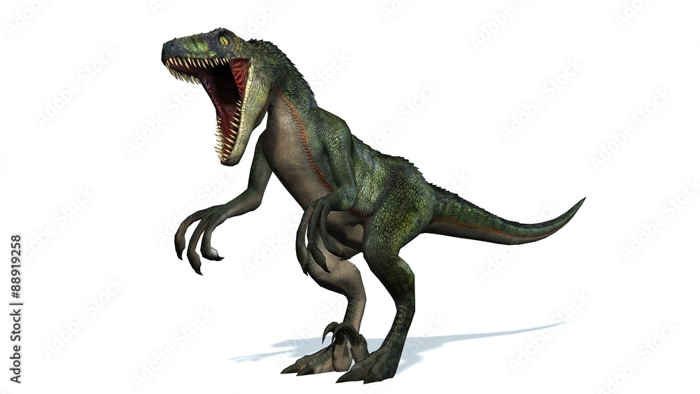 Photo velociraptor dinosaurs - isolated on white background, Riko Best ...
