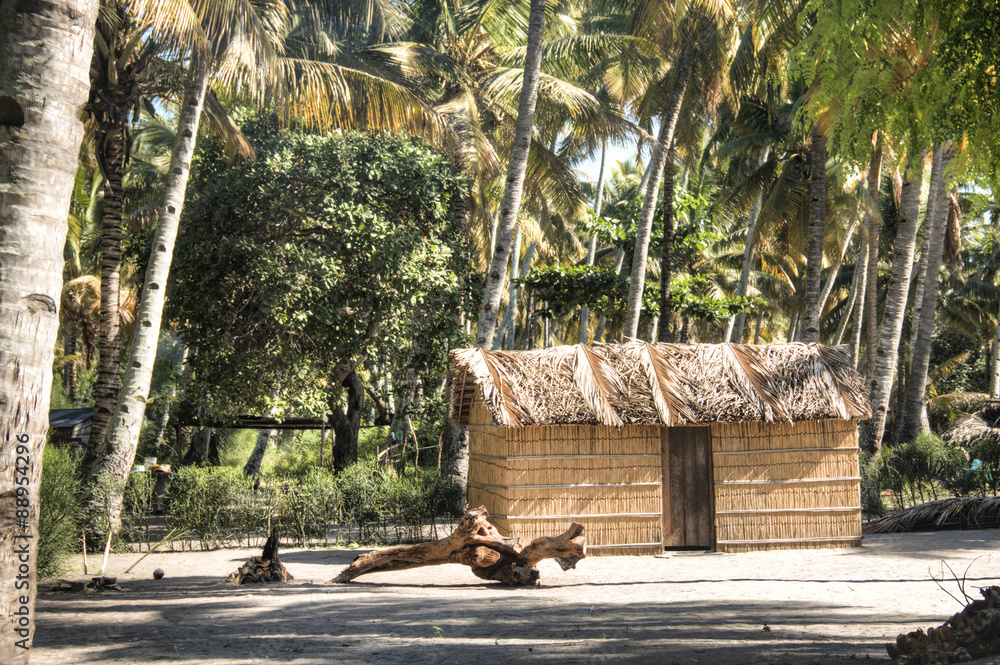 African village with typical straw huts between palm trees in Praia do ...