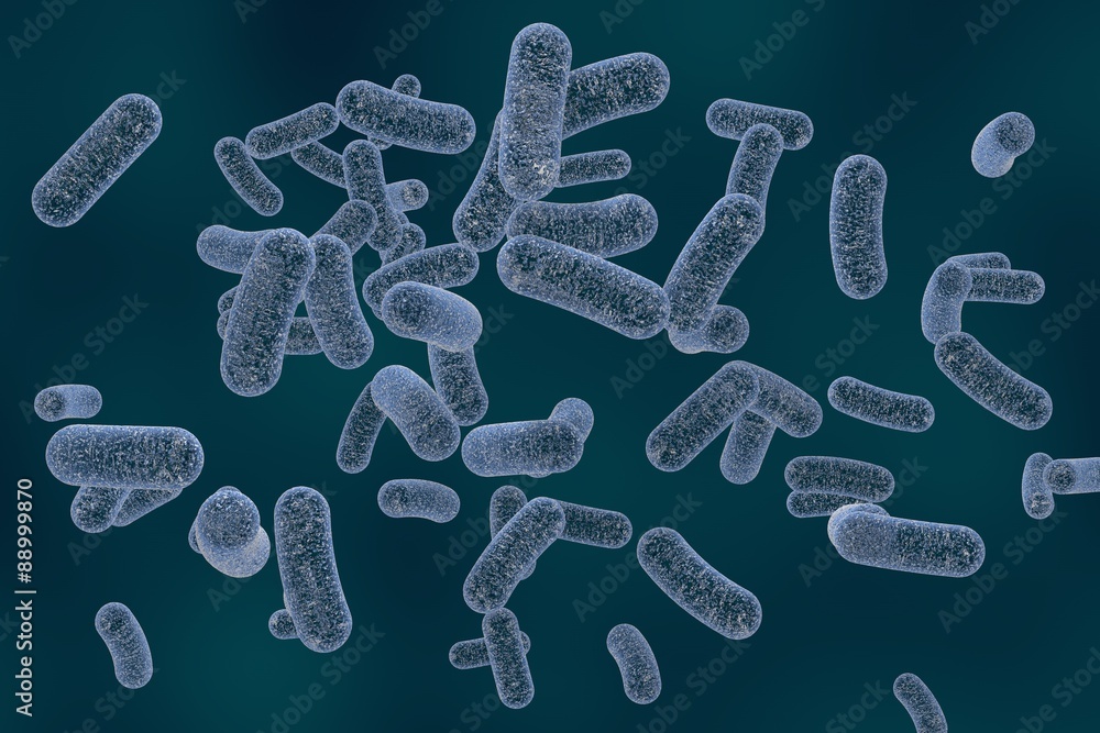 Microscopic illustration of bacteria, model of bacteria, realistic ...