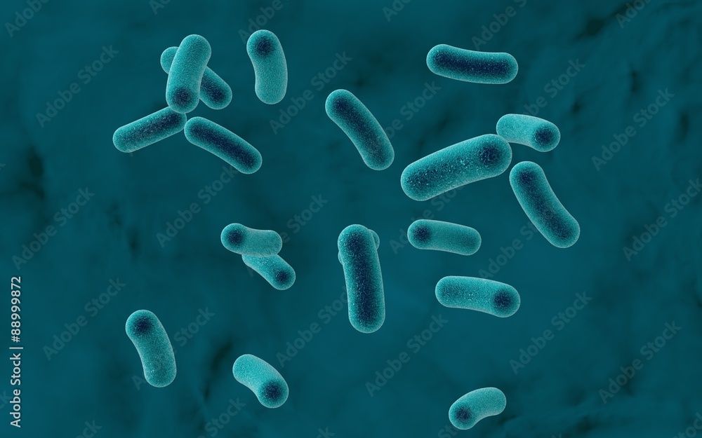 Microscopic illustration of bacteria, model of bacteria, realistic ...