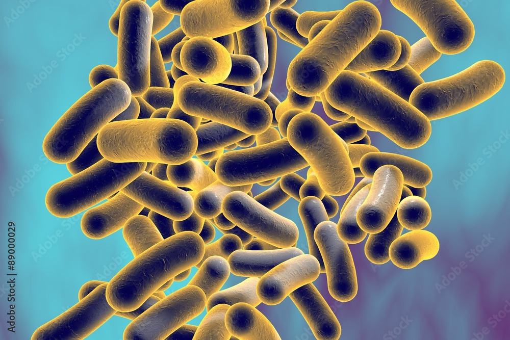 Microscopic illustration of bacteria, model of bacteria, realistic ...