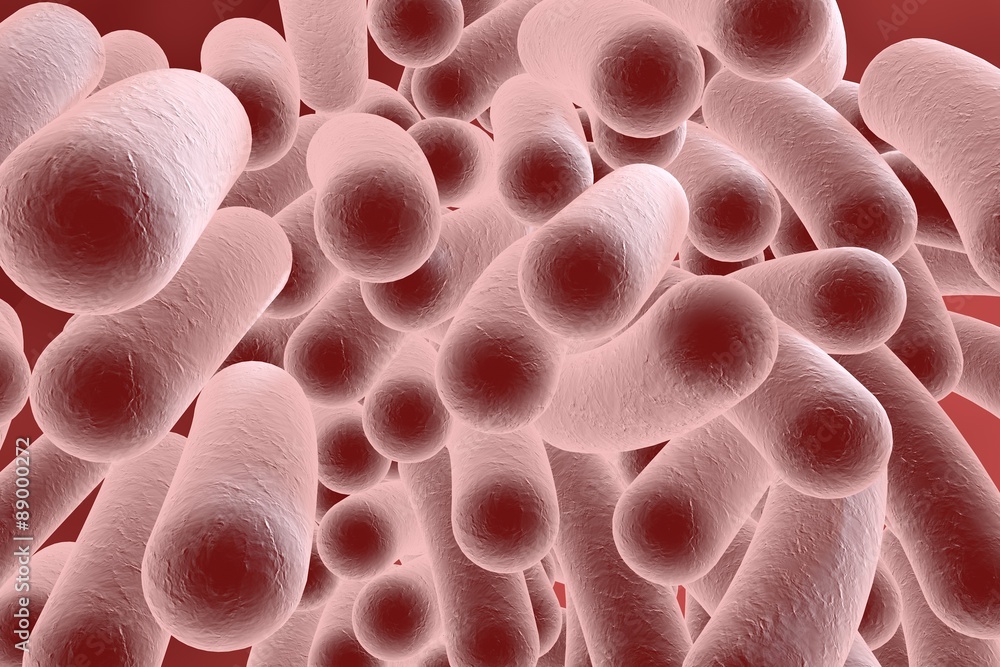 Microscopic illustration of bacteria, model of bacteria, realistic ...