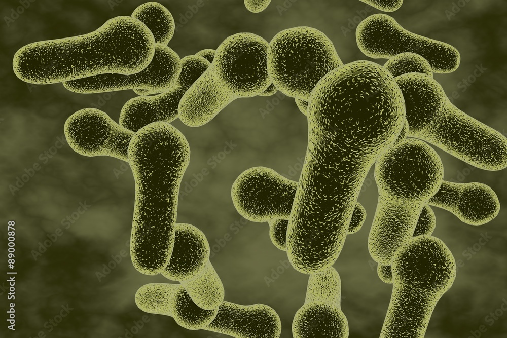 Microscopic illustration of Clostridium tetani, Clostridium perfringes ...