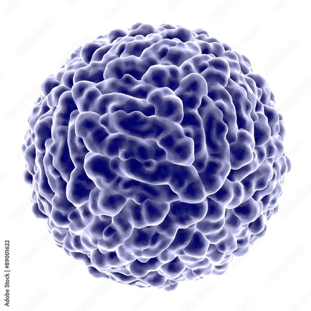 Digital illustration of Dengue virus isolated on white background. A ...