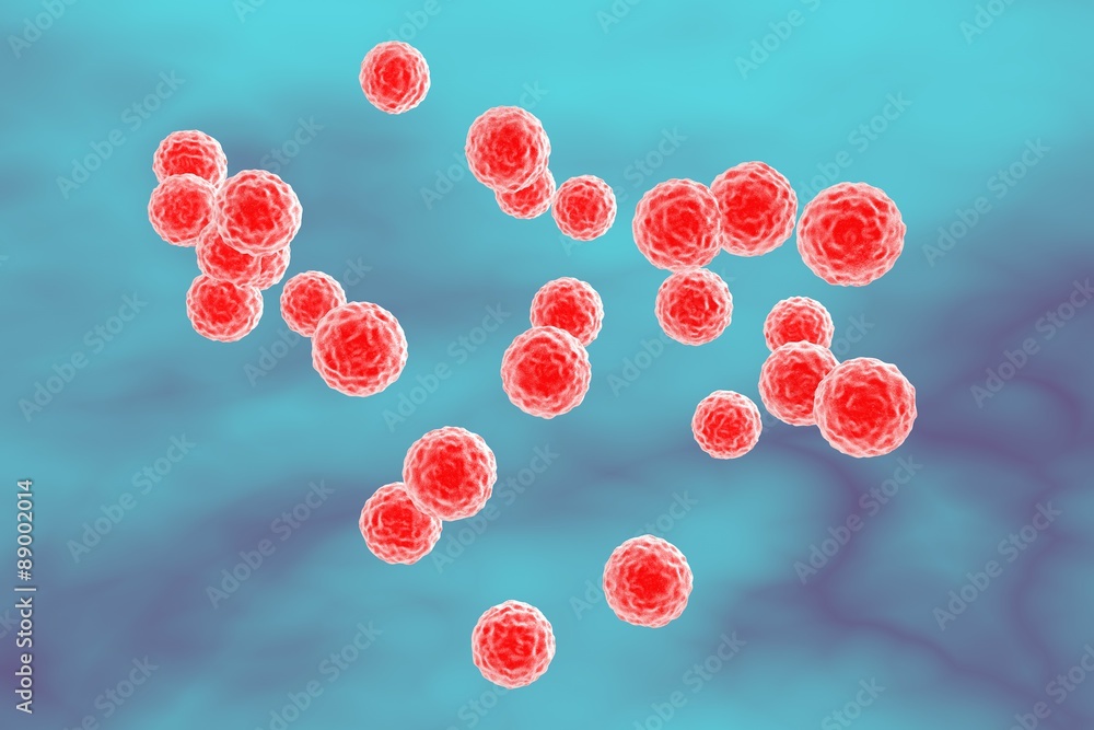 Enterovirus, Picornavirus, Picornaviridae, Rhinovirus, model of virus ...
